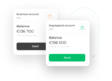 ConnectPay all-in-one financial platform for online business